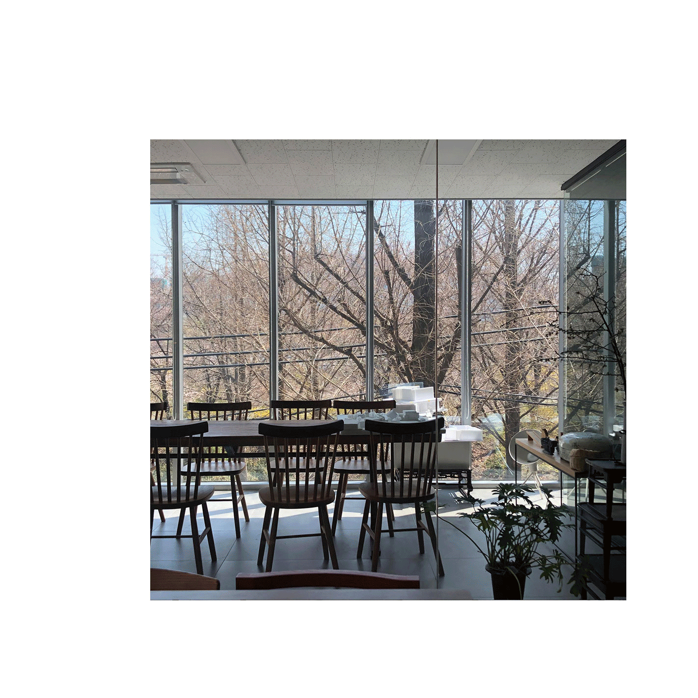 LimTaeHee Design Studio — LimTaeHee Design Studio